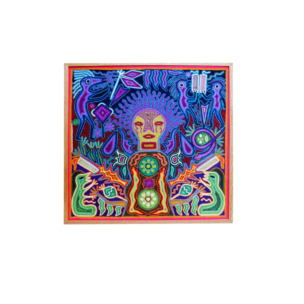 handicraft from mexico art huichol wixaritari bag earrings – DON ...
